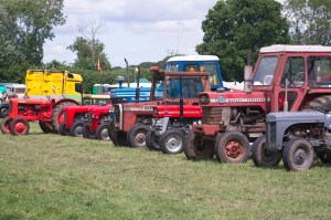 Dene Rally – Great fun for the whole family! The young and the young at ...